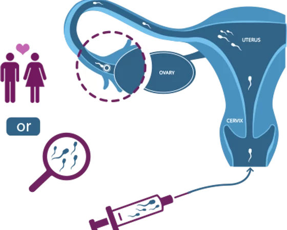 Third-Party Reproduction – namamidoc.com